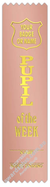 Ribbons :: Standard Size :: Pupil of the Week with details lines