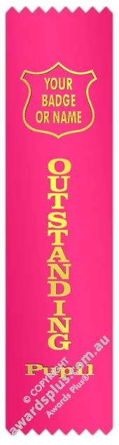 Ribbons :: Standard Size :: Outstanding Pupil - LIMITED STOCK